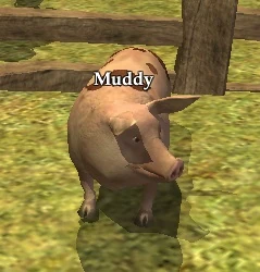 Muddy | EQ2Classic Wiki | Fandom