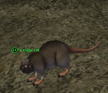 A ridge rat | EQ2Classic Wiki | Fandom