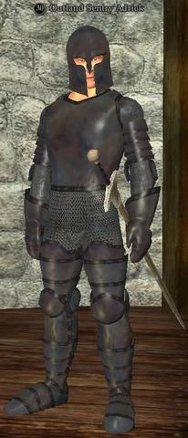 Outland Sentry Adrick | EQ2Classic Wiki | Fandom