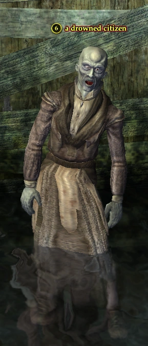 A drowned citizen | EQ2Classic Wiki | Fandom