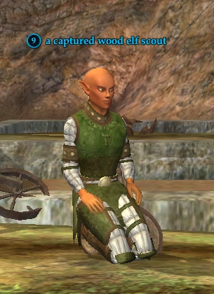 A captured wood elf scout | EQ2Classic Wiki | Fandom