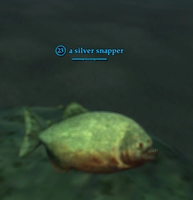 A silver snapper | EQ2Classic Wiki | Fandom