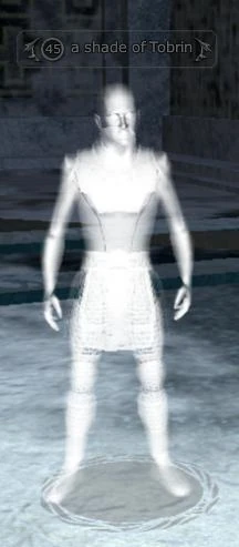 A shade of Tobrin | EQ2Classic Wiki | Fandom