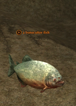A bonecutter fish | EQ2Classic Wiki | Fandom