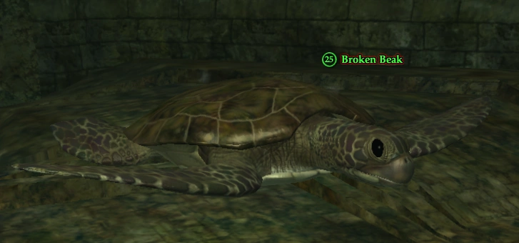 Broken Beak | EQ2Classic Wiki | Fandom