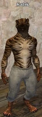 Kadek | EQ2Classic Wiki | Fandom