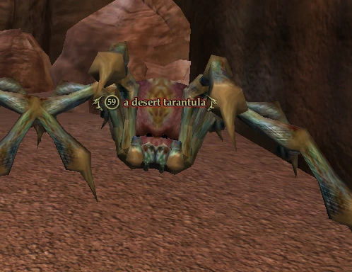 a desert tarantula | EQ2Classic Wiki | Fandom