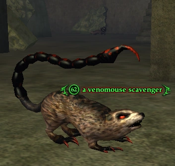 A venomouse scavenger | EQ2Classic Wiki | Fandom