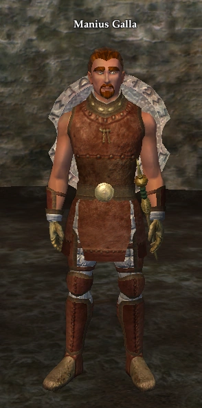 Manius Galla | EQ2Classic Wiki | Fandom