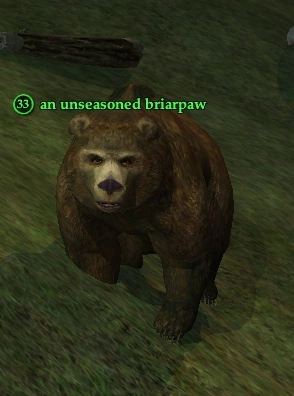 An unseasoned briarpaw | EQ2Classic Wiki | Fandom