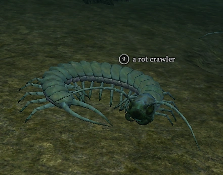 A rot crawler | EQ2Classic Wiki | Fandom