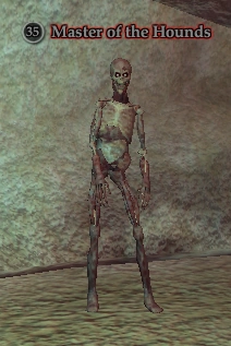 Master of the Hounds | EQ2Classic Wiki | Fandom