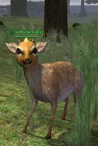 A thicket deer | EQ2Classic Wiki | Fandom
