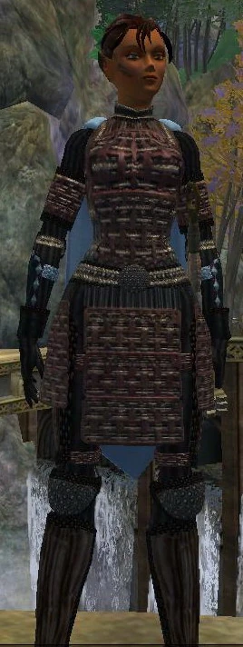 Pristine Tailored Woven Engraved (Armor Set) | EQ2Classic Wiki | Fandom