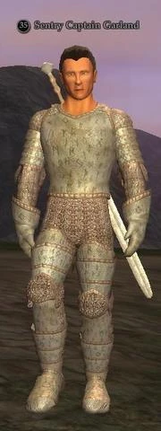 Sentry Captain Garland | EQ2Classic Wiki | Fandom
