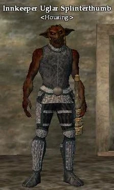 Innkeeper Uglar Splinterthumb | EQ2Classic Wiki | Fandom