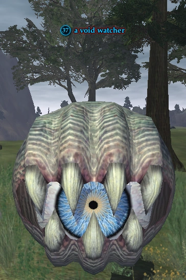 A void watcher | EQ2Classic Wiki | Fandom