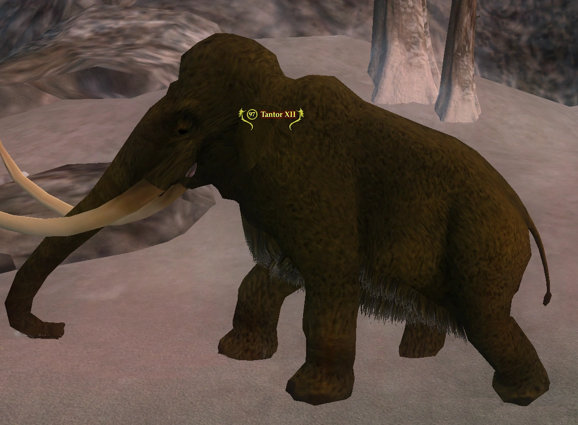 Tantor XII | EQ2Classic Wiki | Fandom