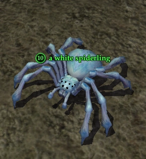 A white spiderling | EQ2Classic Wiki | Fandom