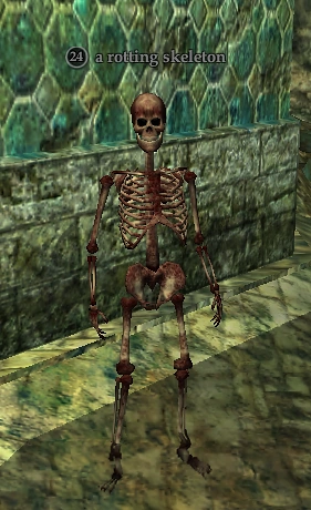 A rotting skeleton | EQ2Classic Wiki | Fandom