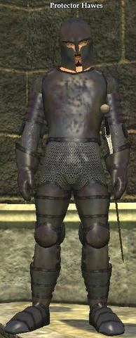Protector Hawes | EQ2Classic Wiki | Fandom
