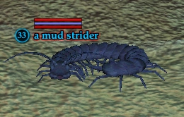 A mud strider | EQ2Classic Wiki | Fandom