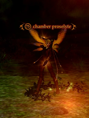 Chamber proselyte | EQ2Classic Wiki | Fandom