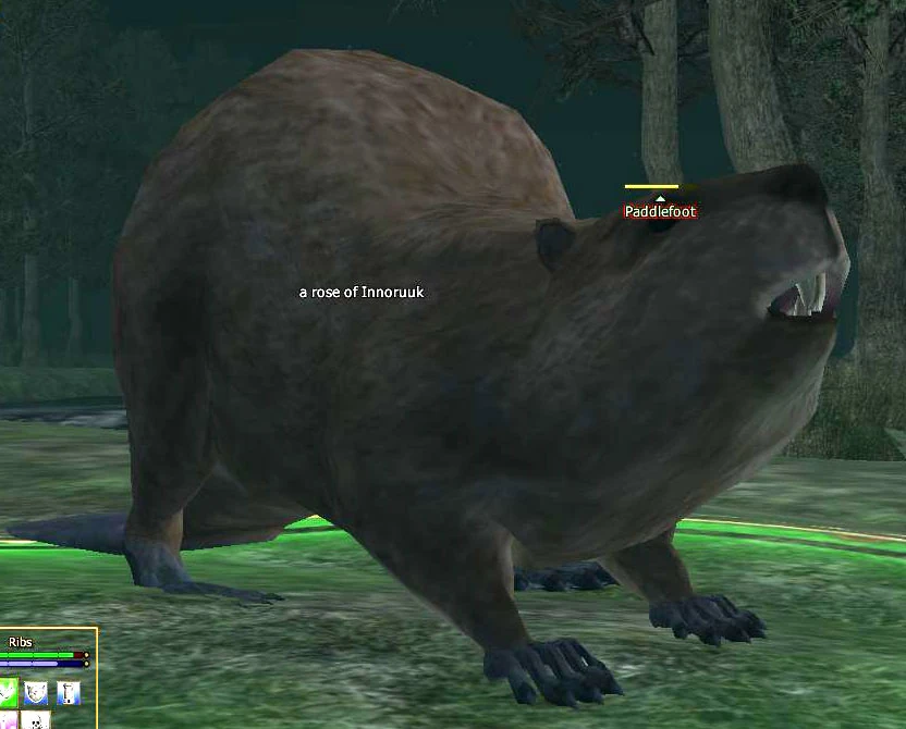 Paddlefoot | EQ2Classic Wiki | Fandom