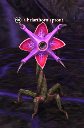A briarthorn sprout | EQ2Classic Wiki | Fandom