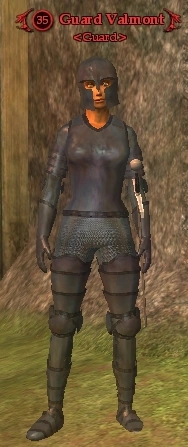 Guard Valmont | EQ2Classic Wiki | Fandom