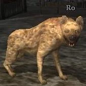 Ro | EQ2Classic Wiki | Fandom
