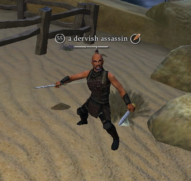 A Dervish assassin | EQ2Classic Wiki | Fandom