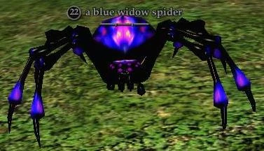 a blue widow spider | EQ2Classic Wiki | Fandom
