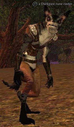 A Darkpaw rune caster | EQ2Classic Wiki | Fandom