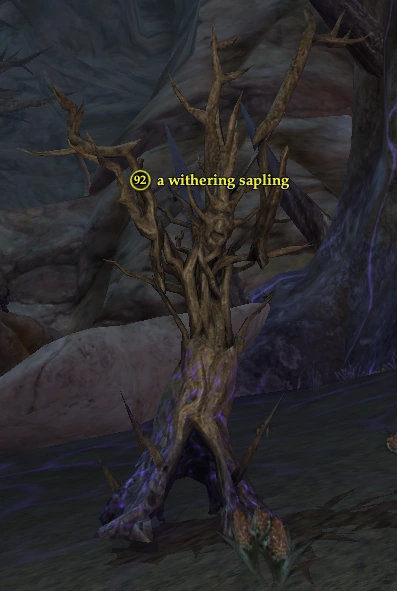 A withering sapling | EQ2Classic Wiki | Fandom