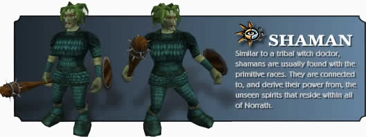 Shaman | Everquest Online Adventures Wiki | Fandom