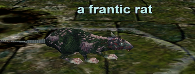 A frantic rat | EQSanctuary Wiki | Fandom