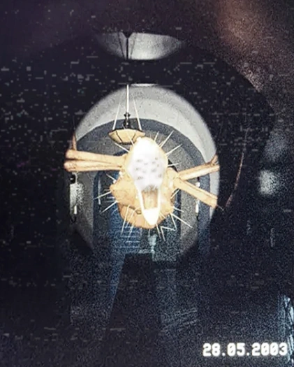 Creatures | Equalia Falls Mental Institute Wiki | Fandom