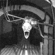 Creatures | Equalia Falls Mental Institute Wiki | Fandom