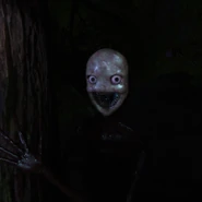 Creatures | Equalia Falls Mental Institute Wiki | Fandom