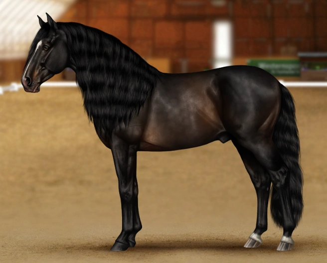 EquinePassion/Anglo-Luso | Browser Games Wiki | Fandom