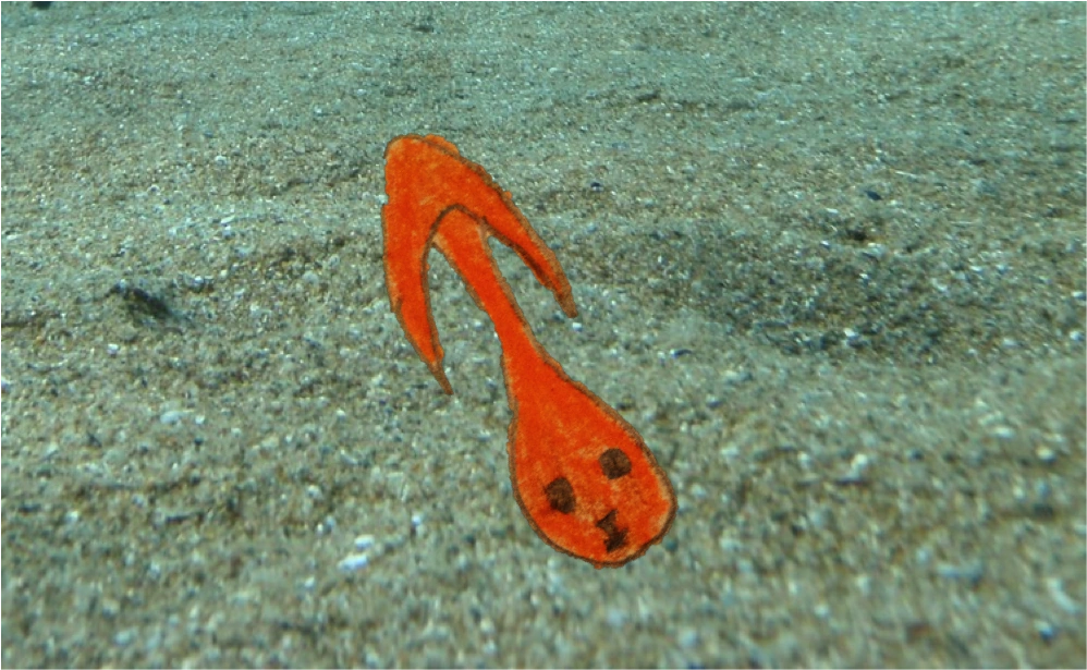 Zoez-zeoz | Equinox Universe Wiki | Fandom