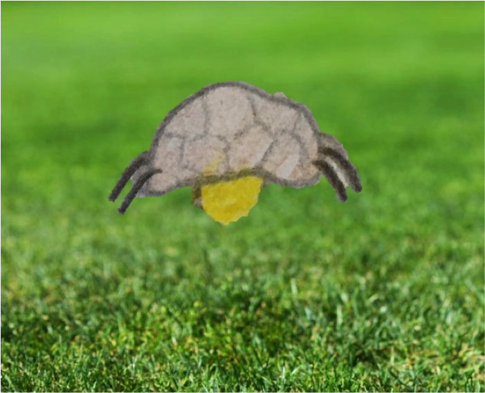 Kige Fly | Equinox Universe Wiki | Fandom