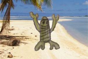 Flopper | Equinox Universe Wiki | Fandom