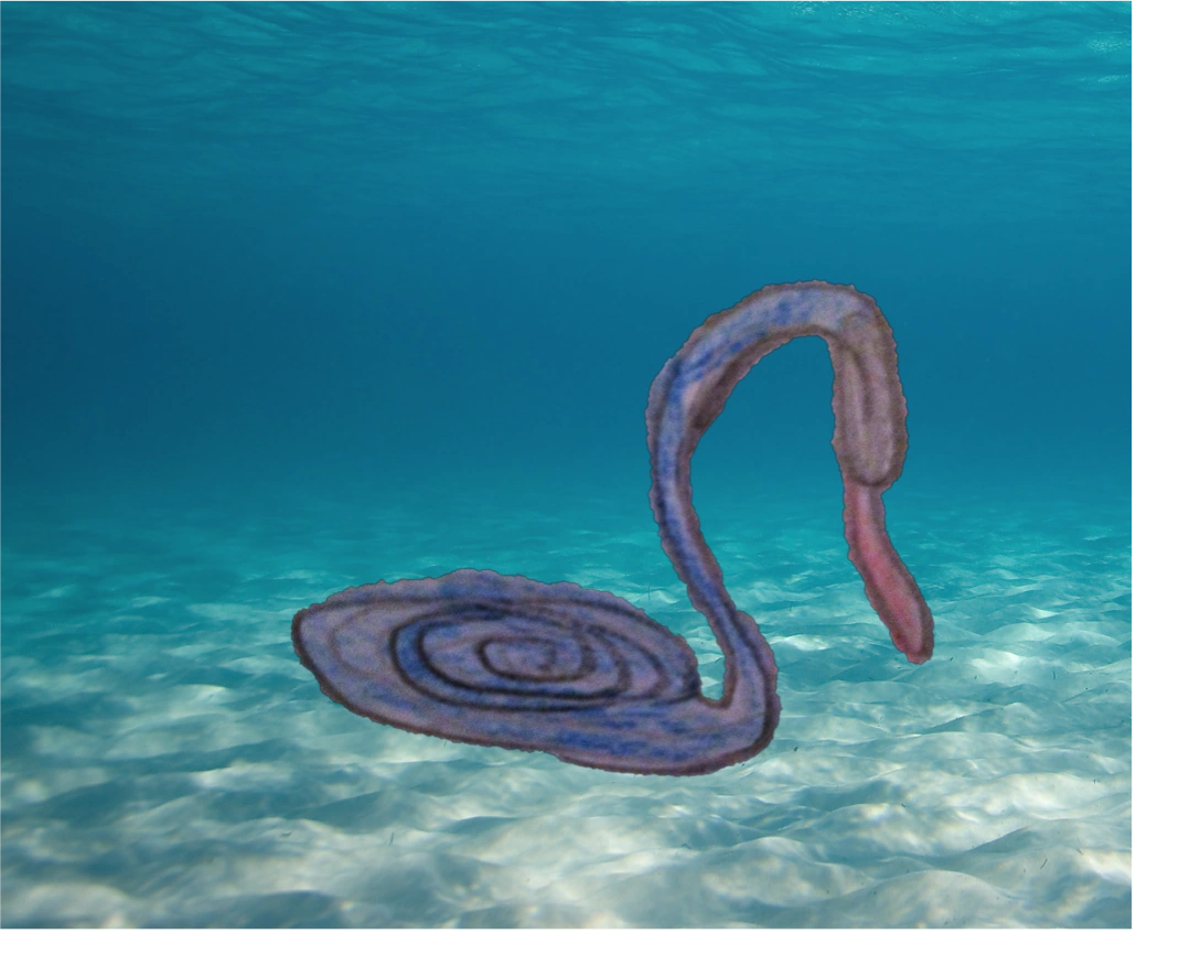 Vilv | Equinox Universe Wiki | Fandom