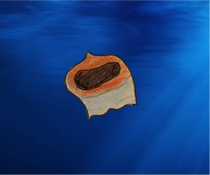 Quimm | Equinox Universe Wiki | Fandom