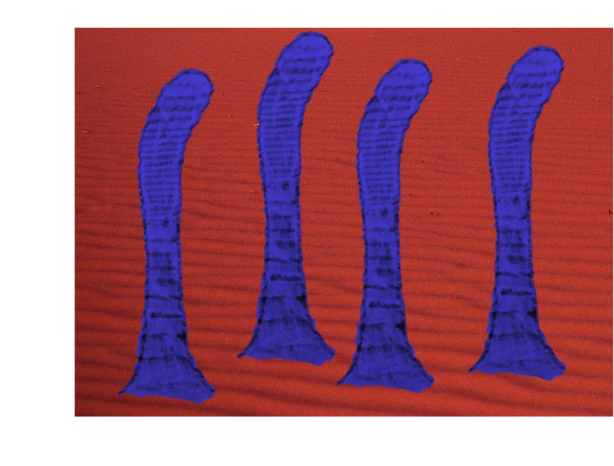 P-Tub | Equinox Universe Wiki | Fandom