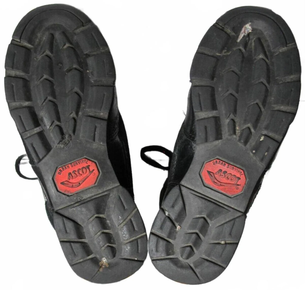 Ascot Urban Survival | Equipment Wiki | Fandom