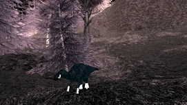 Night Vision | Era of Terror Wiki | Fandom