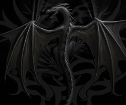 Eadric Tannin/Dragon | Eragon Roleplay Wiki | Fandom